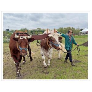2026 Rural Heritage Calendar – Rural Heritage