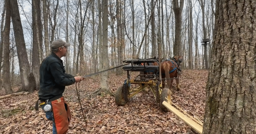 Burgess Logging – Rural Heritage